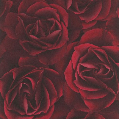 Deep Red Rose - 1600x1200 Wallpaper - teahub.io