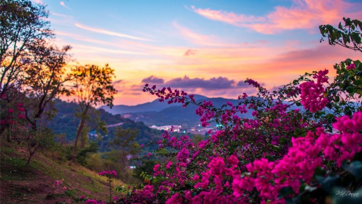 3840x2160, Natural Scenes 2016 Spring 4k Wallpaper - Desktop Spring ...