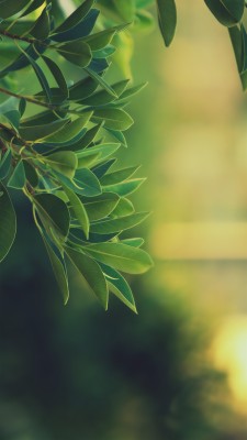 Inspirational Quote On Life Lessons - 720x1280 Wallpaper - teahub.io