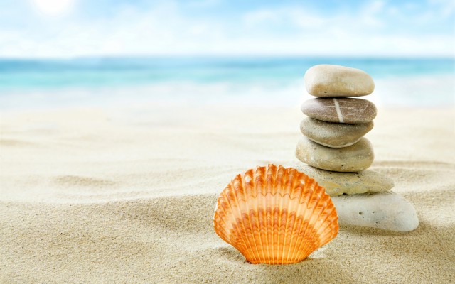Sea Shells Beach Wallpaper - Beach Sea Shells Hd - 1920x1200 Wallpaper ... Sea Shells Beach Wallpaper - Beach Sea Shells Hd - 1920x1200 Wallpaper ...