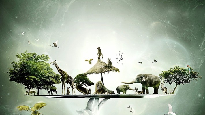 Amazing Images Of The World Hd - 1920x1080 Wallpaper - teahub.io