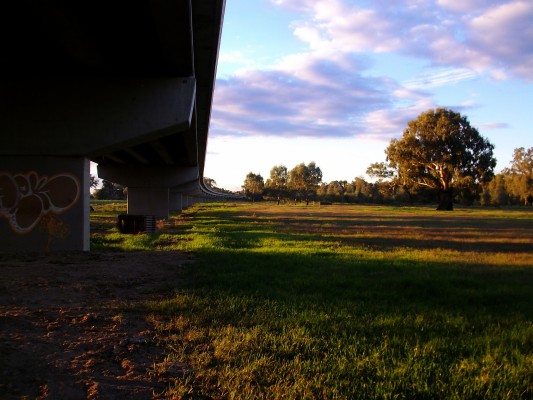 Nice Linux Wallpaper - Tree - 1920x1440 Wallpaper - teahub.io