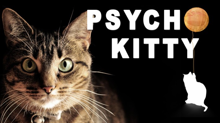 Psycho Cat - 1920x1080 Wallpaper - teahub.io