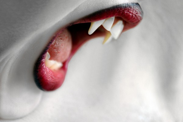 Vampire Teeth Side View - 1920x1200 Wallpaper - teahub.io
