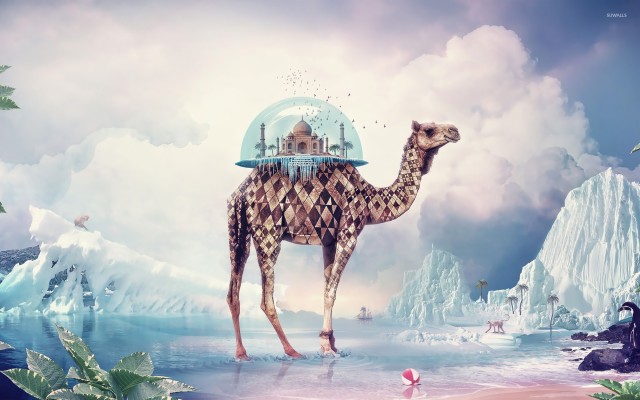 Camel Fantasy - 1920x1200 Wallpaper - teahub.io