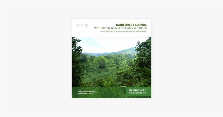 Photo Wallpaper Autumn, Forest, Nature, Trail - Old-growth Forest ...