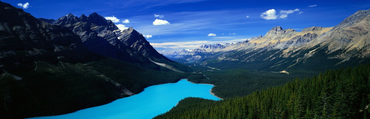 Panoramic Dual Monitor Wallpaper Free - Peyto Lake - 2800x900 Wallpaper ...