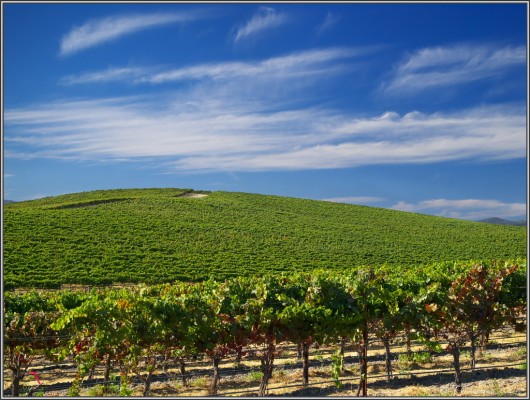 Windows Xp Background Place - 1024x772 Wallpaper - teahub.io