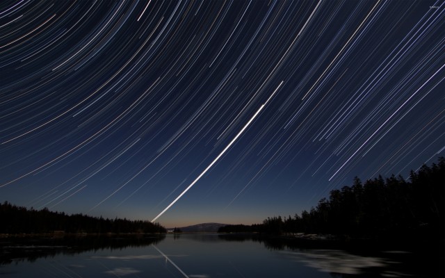 Movement Hd Widescreen Wallpapers - 2560x1440 Wallpaper - teahub.io