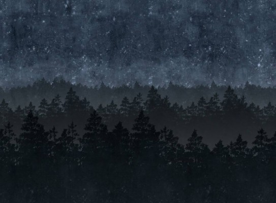 Fairy Forest Wall Mural - 1224x918 Wallpaper - teahub.io