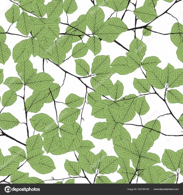 Plane-tree Family - 1125x2436 Wallpaper - teahub.io