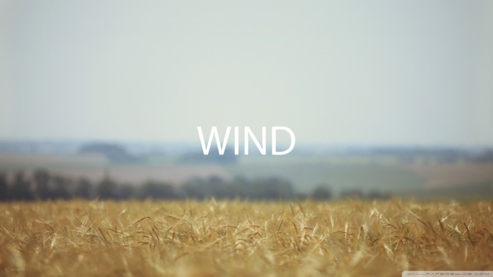 Wind Wallpaper Hd - 1920x1080 Wallpaper - teahub.io