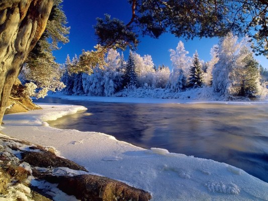 Beautiful Profile Pictures Of Nature