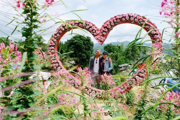 Macam Macam Bunga Terindah Di Dunia - 762x765 Wallpaper - teahub.io