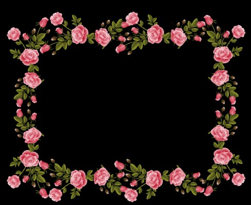 Pink Rose Frame - 1600x1311 Wallpaper - teahub.io