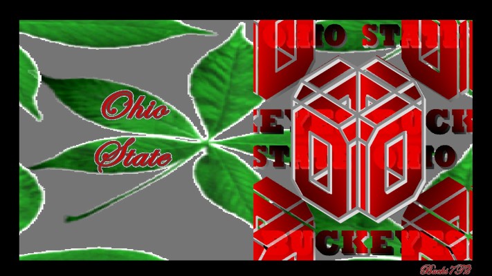 3d Red Block O On Buckeye Leaves - 1920x1080 Wallpaper - teahub.io