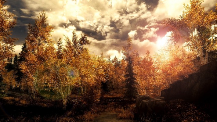 Skyrim The Rift Background - 1920x1080 Wallpaper - teahub.io