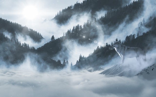Arctic Wolf Winter Mountains 5k - Wolves Landscape - 3840x2400 ...