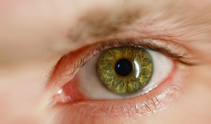 Pi Iris - 1698x999 Wallpaper - teahub.io