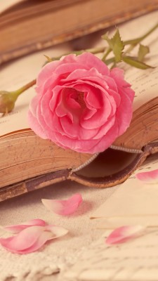 Purple Flowers On Books - 1056x1280 Wallpaper - teahub.io