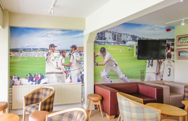 Custom Cricket Themed Wallpaper Mural - Cricket Wallpaper For Room ...