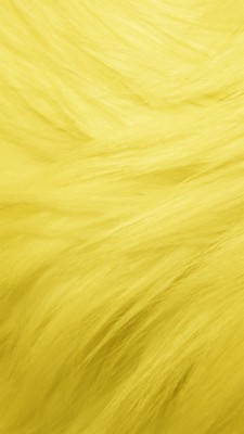 Cute Yellow Fur Background - 1080x1920 Wallpaper - teahub.io