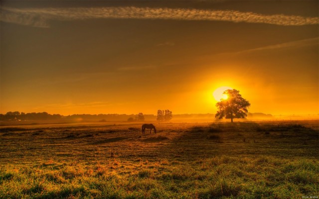 Sunset Over The Countryside - 1920x1200 Wallpaper - teahub.io