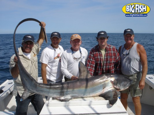 Saltwater Big Game Fish - 1024x768 Wallpaper - teahub.io