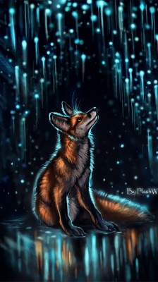 Photo Wallpaper Forest, Trees, Night, Magic, Art, Fox, - Fox In Magic ...