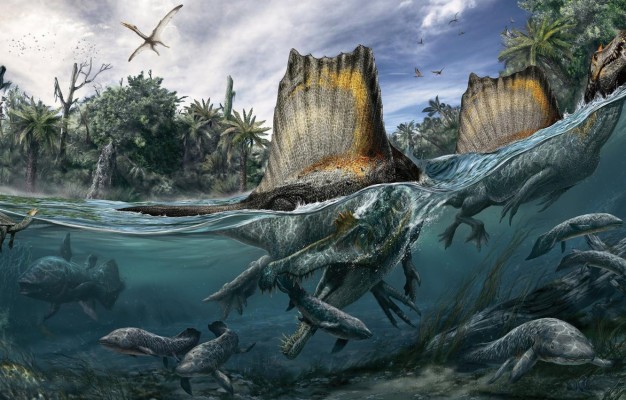 Spini - Spinosaurus Dinosaur King Spiny - 1024x768 Wallpaper - teahub.io