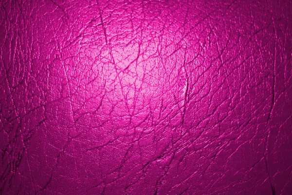 Cool Fuchsia Wallpapers, - 3888x2592 Wallpaper - teahub.io