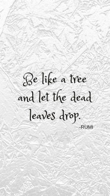 Rumi Quotes - 1080x1920 Wallpaper - teahub.io