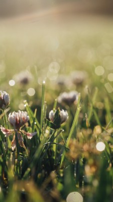 John 1 14 - 1024x768 Wallpaper - teahub.io