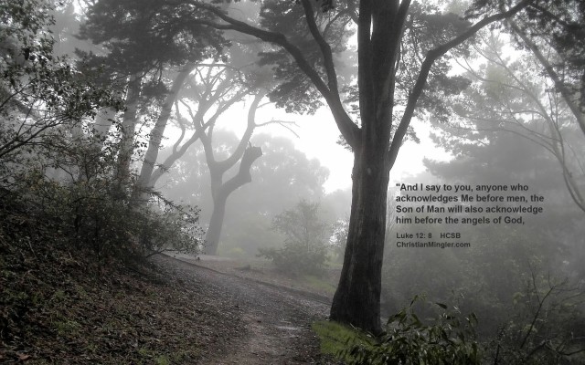 Free Christian Computer Wallpaper Luke - Fog Forest - 1920x1200 ...