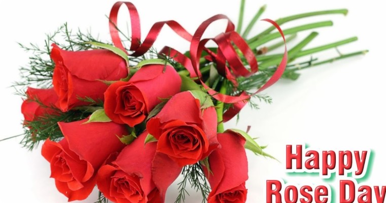 Happy Rose Day 2019 Images Download - 1280x720 Wallpaper - teahub.io