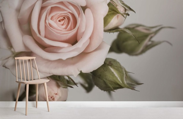 Rose Mural - 1640x1064 Wallpaper - teahub.io