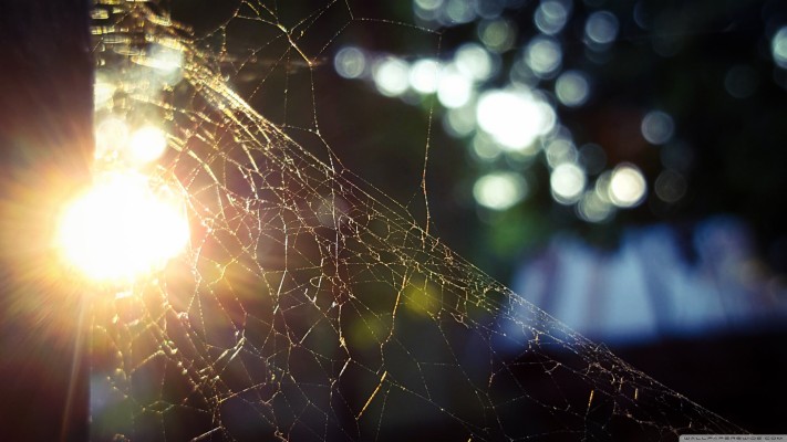 Light Of Hope Hd - 2880x1620 Wallpaper - teahub.io