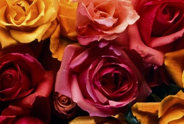 Flowers, Wallpaper, And Pink Image - Iphone Lock Screen Wallpaper ...