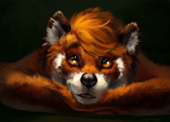 Furry Anthro Red Panda - 1280x919 Wallpaper - teahub.io