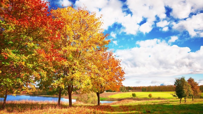 Sunny Day Hd High Quality Wallpaper - 1920x1080 Wallpaper - teahub.io