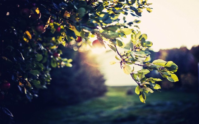 New Computer Wallpaper - 1920x1080 Wallpaper - teahub.io