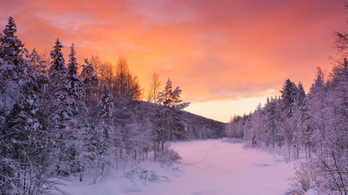 Lapland Wallpaper Hd - 2048x1327 Wallpaper - teahub.io