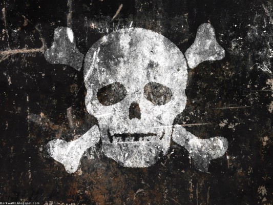 Realistic Whitebeard Jolly Roger - 1440x2560 Wallpaper - teahub.io