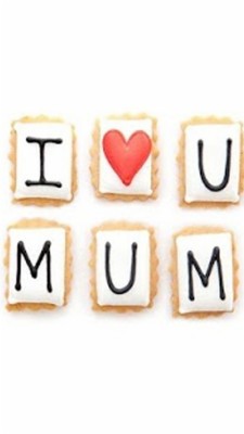 Mums Wallpaper - Light Pink Mum - 1920x1200 Wallpaper - teahub.io