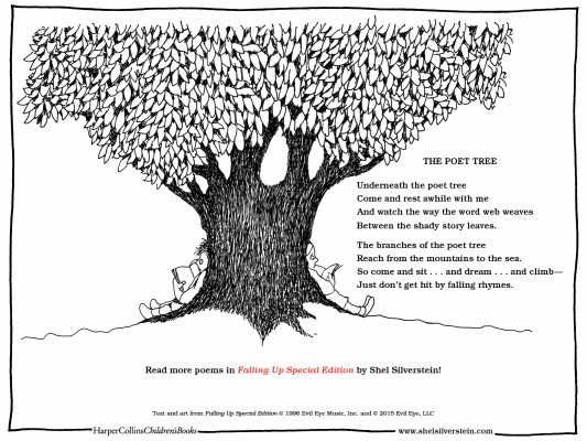 The Poet Tree - Poet Tree - 1600x1200 Wallpaper - teahub.io