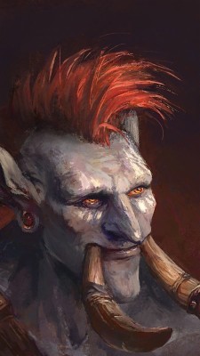 Troll Hunter Wow Classic - 720x1280 Wallpaper - teahub.io