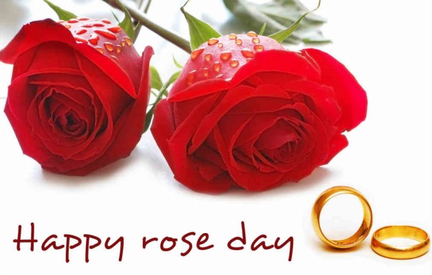 Happy Rose Day 2019 Images Download - 1280x720 Wallpaper - teahub.io
