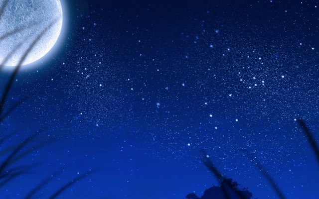 Big Moon, Stars, Plants, Night, Scenic - Star - 2048x1536 Wallpaper ...