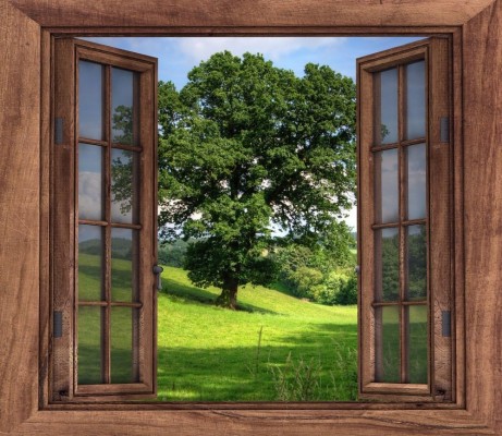 Open Black And White Window - 3120x4160 Wallpaper - teahub.io
