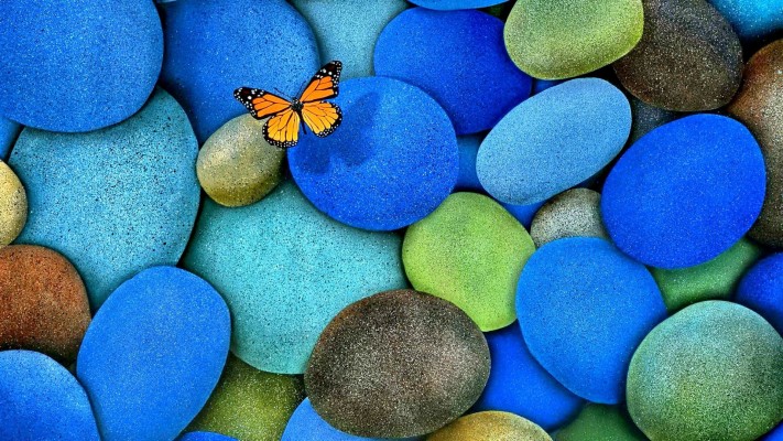 Butterfly Blue Beautiful Pretty Nature Splendo Things - Butterfly On ...